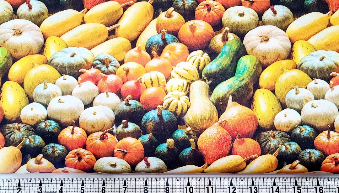 Windham Fabrics A La Carte Squash 51896D Fabric by the Yard//piece - Etsy
