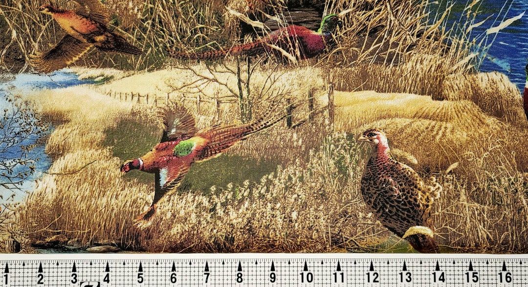 Quilting Treasures Pheasant Country 1649-2078-2A Fabric by the Yard ...