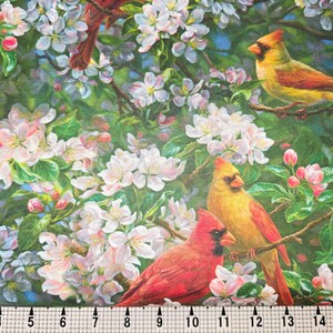 David Textiles Spring Orchard Cardinals AS-0078-2C Fabric by the Yard ...