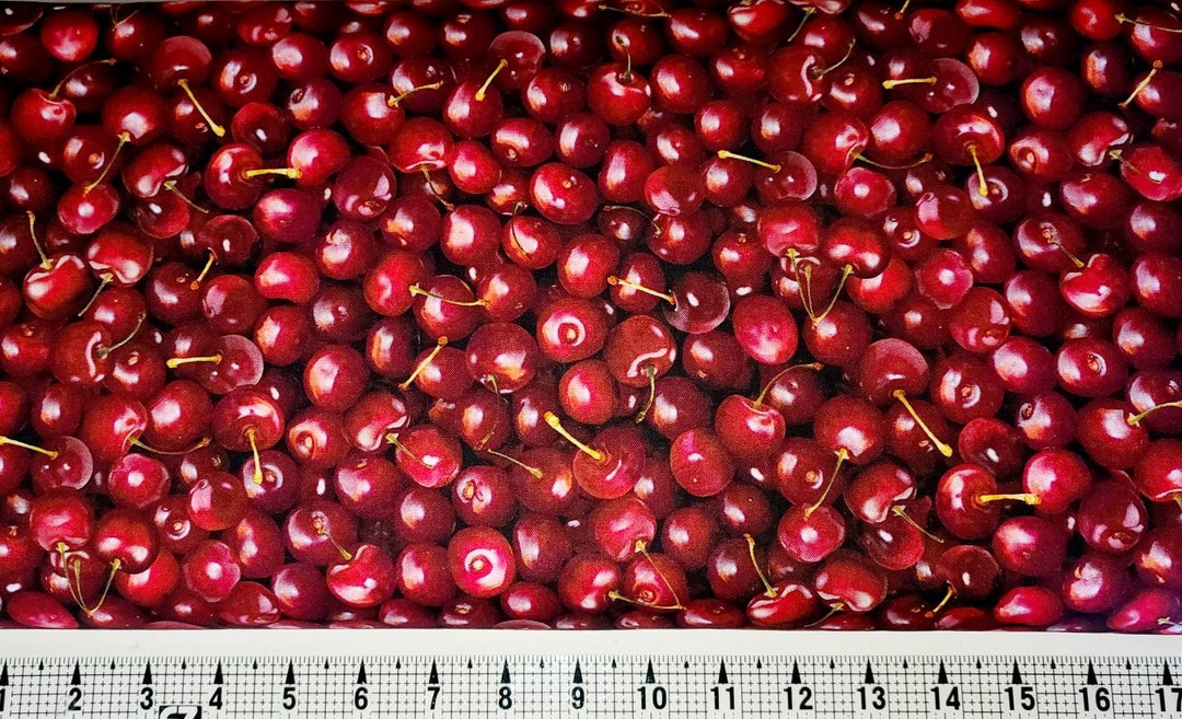 Timeless Treasures Packed Cherries CD1372 Fabric by the Yard/piece - Etsy