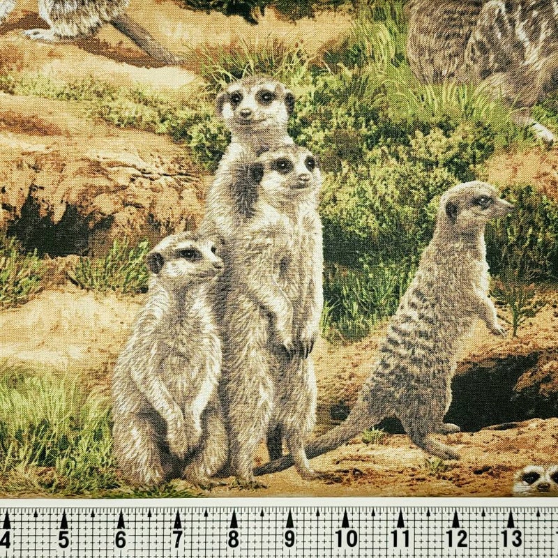 Meerkat Fabric Cotton - Etsy