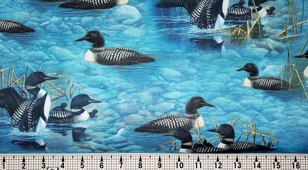 Quilting Treasures Lakeside Loons Scenic on Blue 1649-29699-B Fabric by ...