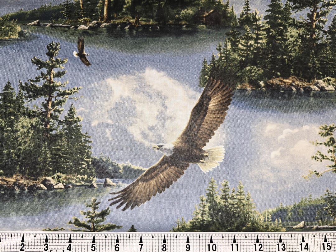 VIP Cranston Eagle Scenic Fabric by the Yard//piece - Etsy