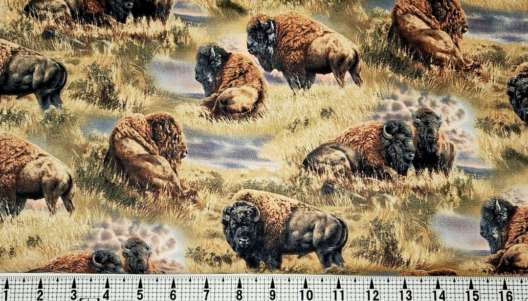 Springs Creative Bison Range CP42008 Fabric by the Yard//piece - Etsy