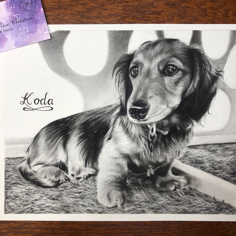 Small Pencil Pet Portrait - Etsy