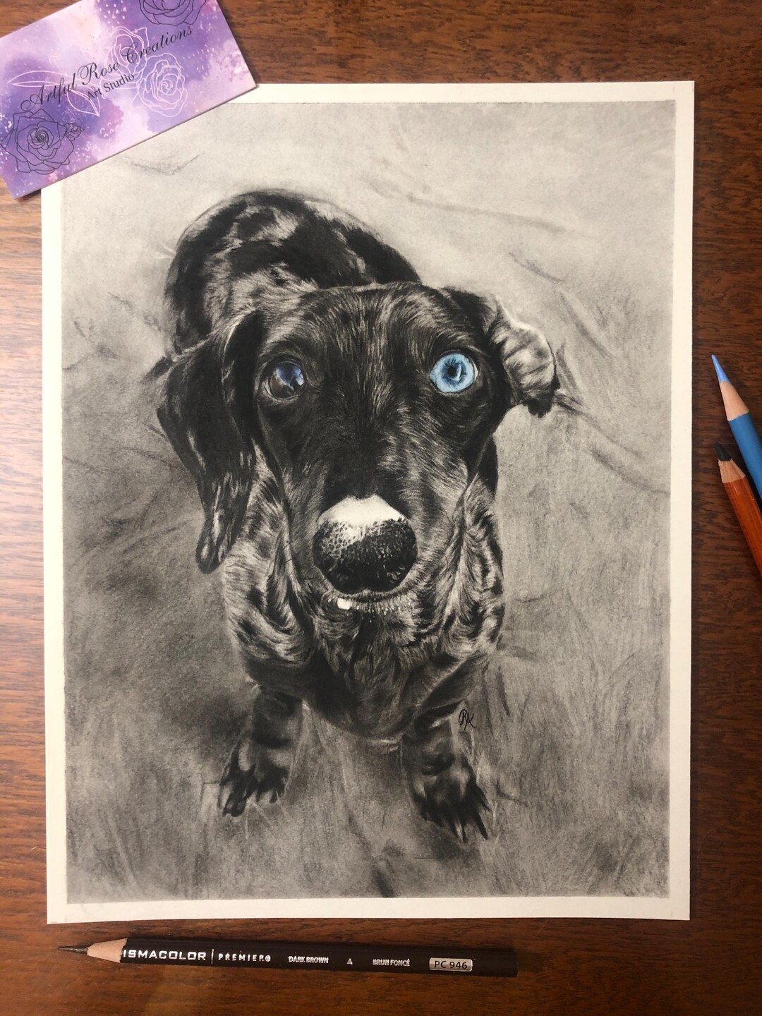 Customized Hand Drawn Graphite/charcoal Pet Portraits With Colored ...