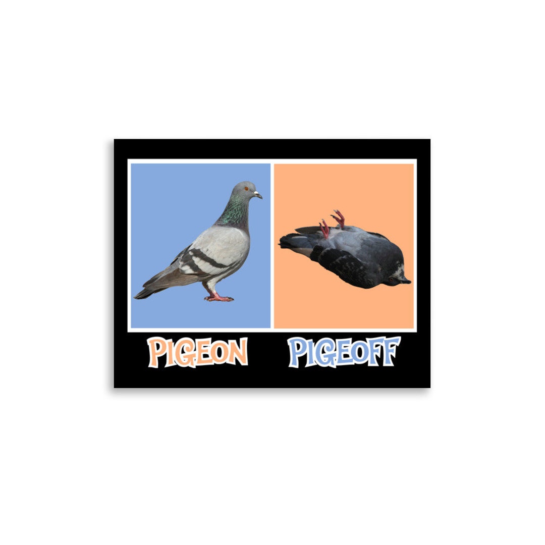 Pigeon Pigeoff 11 X 14 Poster - Etsy