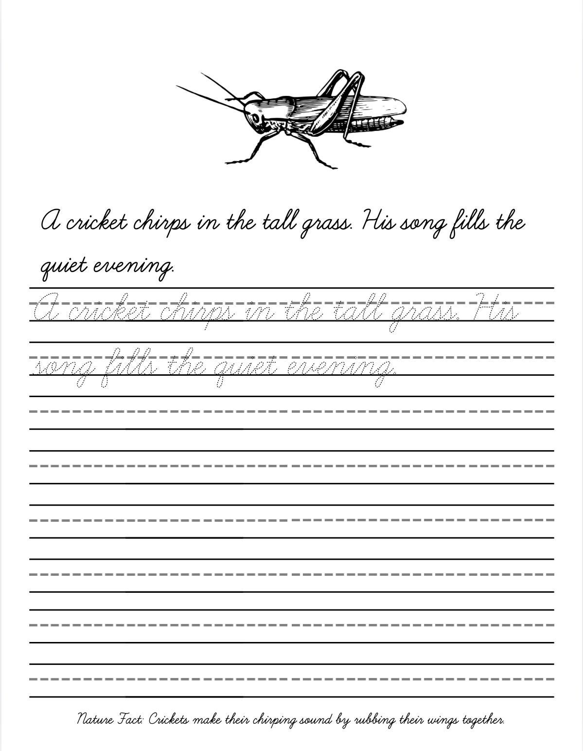 Cursive Summer Copywork Workbook: Charlotte Mason Inspired Handwriting ...