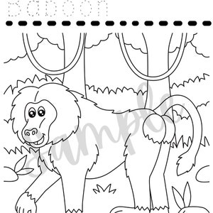 Set of 38 Customizable Zoo Animal Theme Coloring Pages, Educational ...