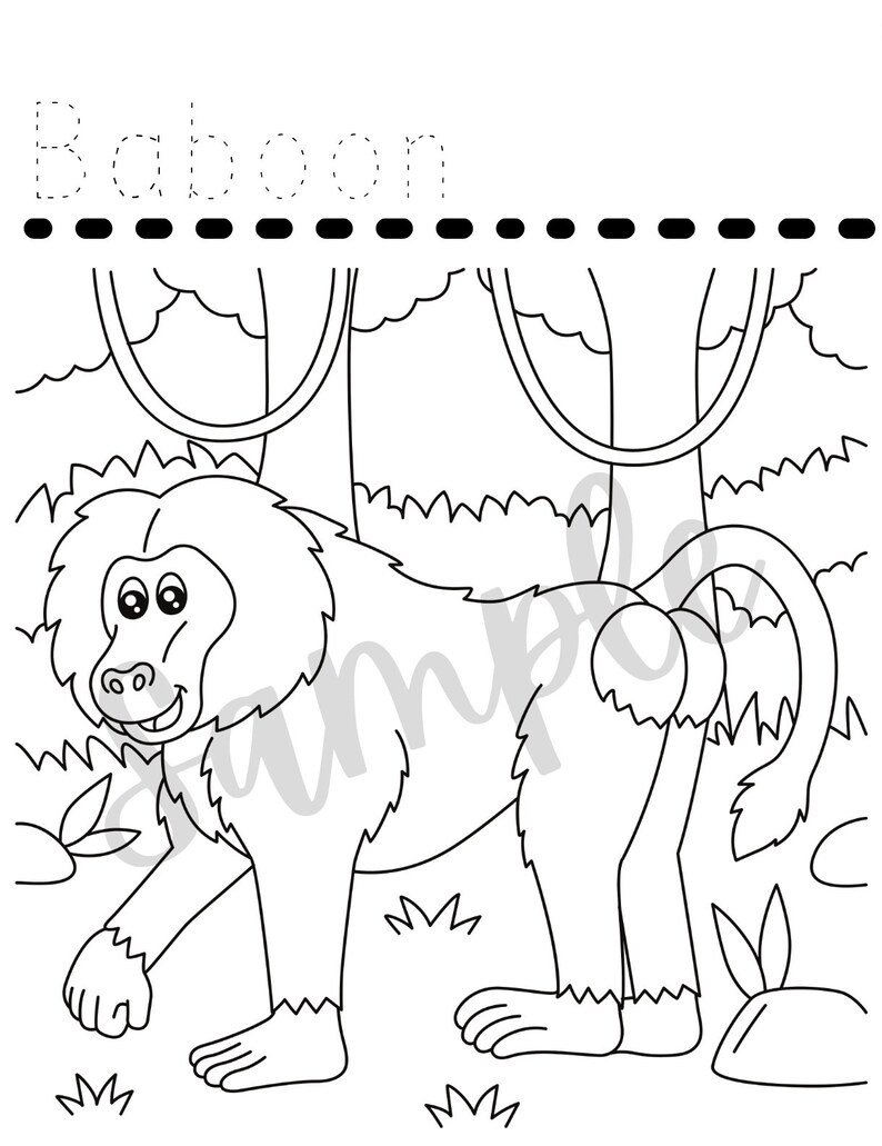 Set of 38 Customizable Zoo Animal Theme Coloring Pages - Etsy
