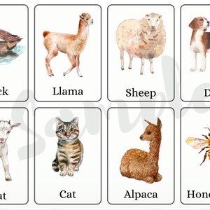 16 Farm Animal Flash Cards Instant Download, Homeschool, Nature Study ...