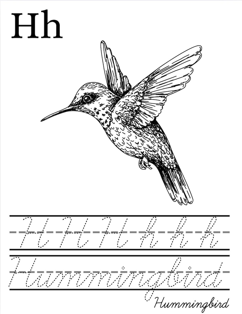 Nature Inspired Cursive & Print Practice Workbook: Homeschool Printable ...