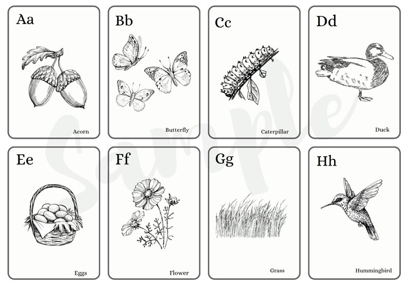 26 Nature Inspired Alphabet Flash Cards Instant Download, Coloring ...