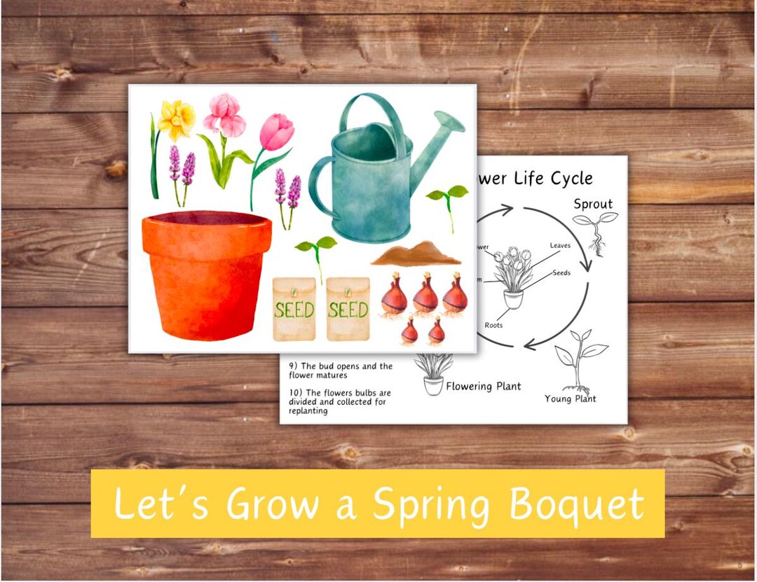 Spring Bulb Lifecycle, Homeschool, Nature Club. Print the Color Page ...