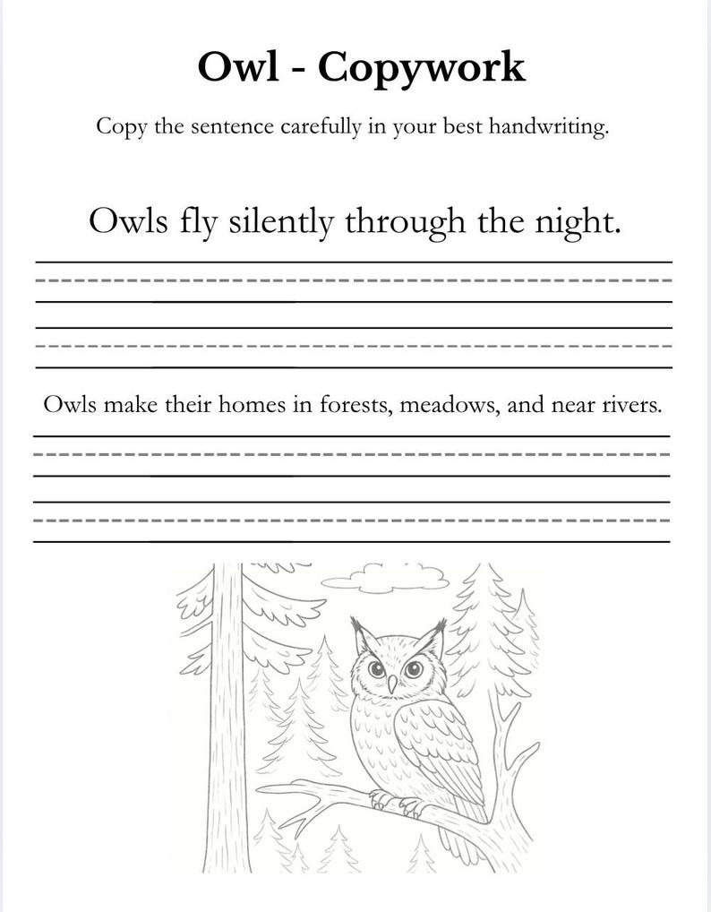 Forest Creatures Nature Study Workbook: Watercolor Animals, Copywork ...