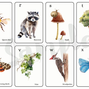 26 Nature Inspired Upper and Lowercase Alphabet Flash Cards Instant ...