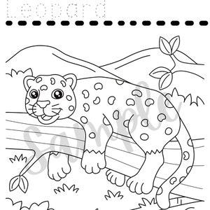 Set of 38 Customizable Zoo Animal Theme Coloring Pages, Educational ...