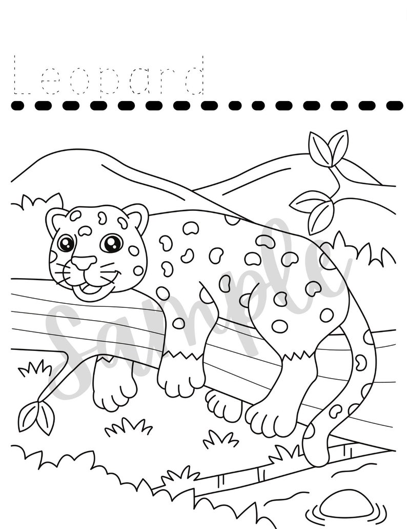 Set of 38 Customizable Zoo Animal Theme Coloring Pages - Etsy