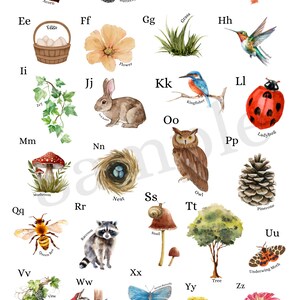 Nature Alphabet Art Print: Homeschool Decor (digital Download) - Etsy