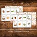 26 Nature Inspired Upper and Lowercase Alphabet Flash Cards Instant ...