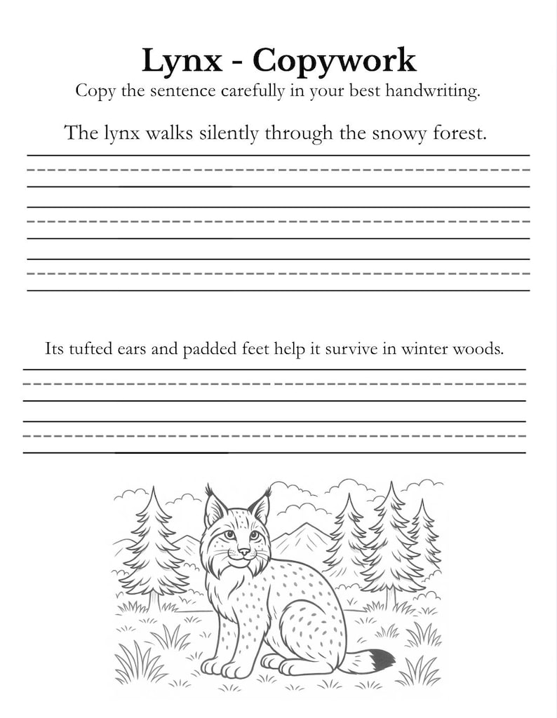 Forest Creatures Nature Study Workbook: Watercolor Animals, Copywork ...
