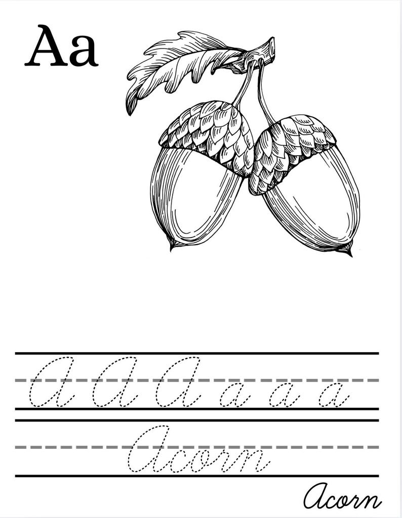 Nature Inspired Cursive & Print Practice Workbook: Homeschool Printable ...