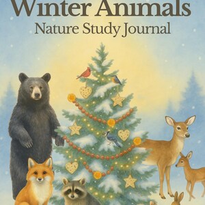 Winter Homeschool Bundle | Winter Animals, Winter Birds, Winter of ...