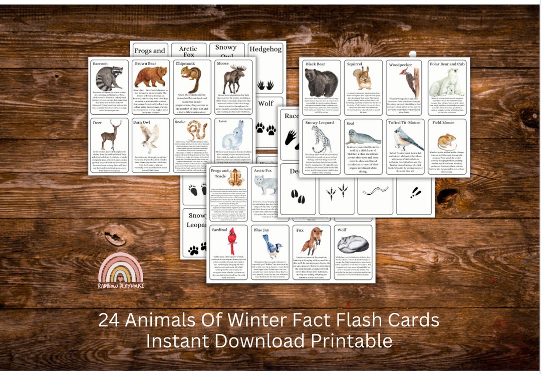 24 Animals in Winter Fact Flash Cards Instant Download, Homeschool ...