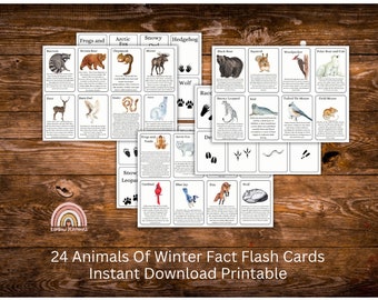 Hibernating Animals Poster and Fact Flash Cards - Etsy