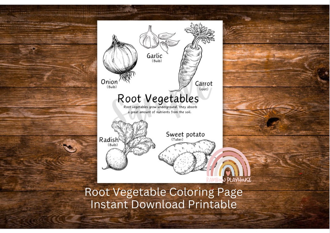Root Vegetable Coloring Worksheet, Homeschool Worksheet, Nature Club ...
