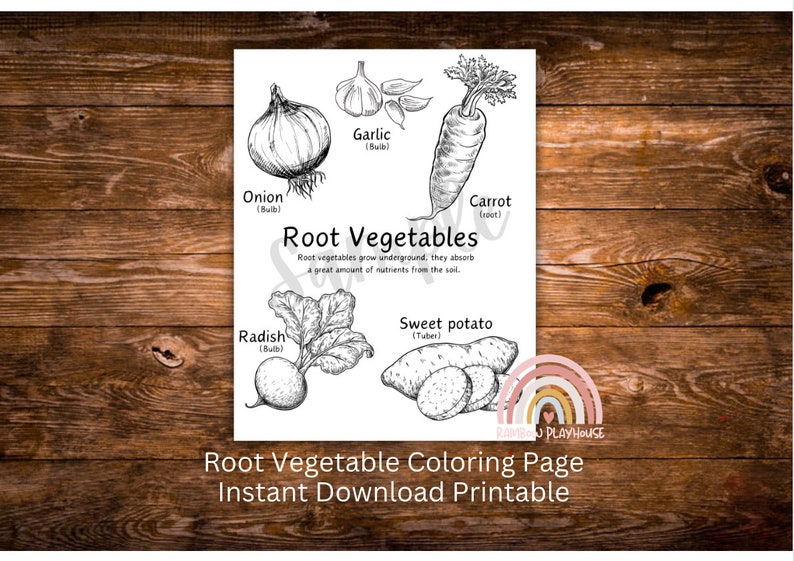 Root Vegetable Coloring Worksheet, Homeschool Worksheet, Nature Club ...