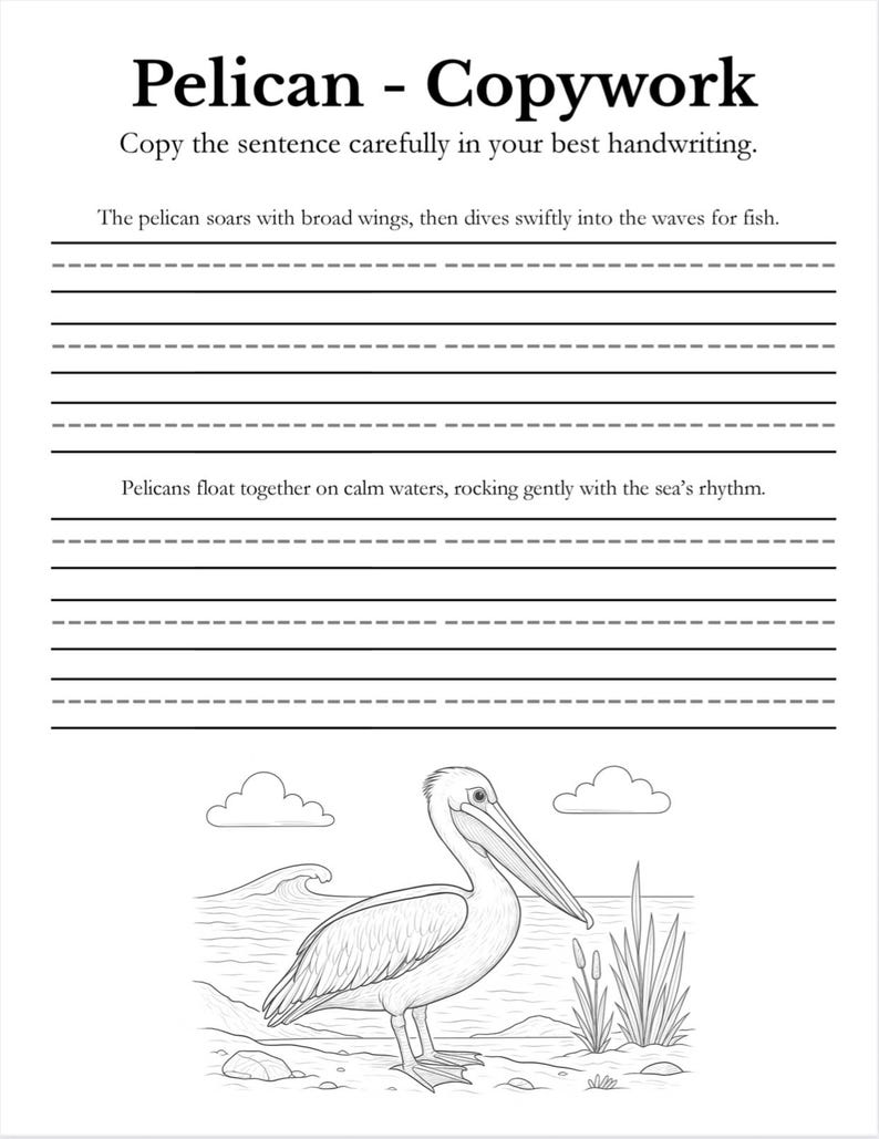 By the Seashore | Charlotte Mason Nature Study With Copywork ...