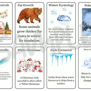 24 Fun Winter Fact Flash Cards Instant Download, Homeschool, Matching ...
