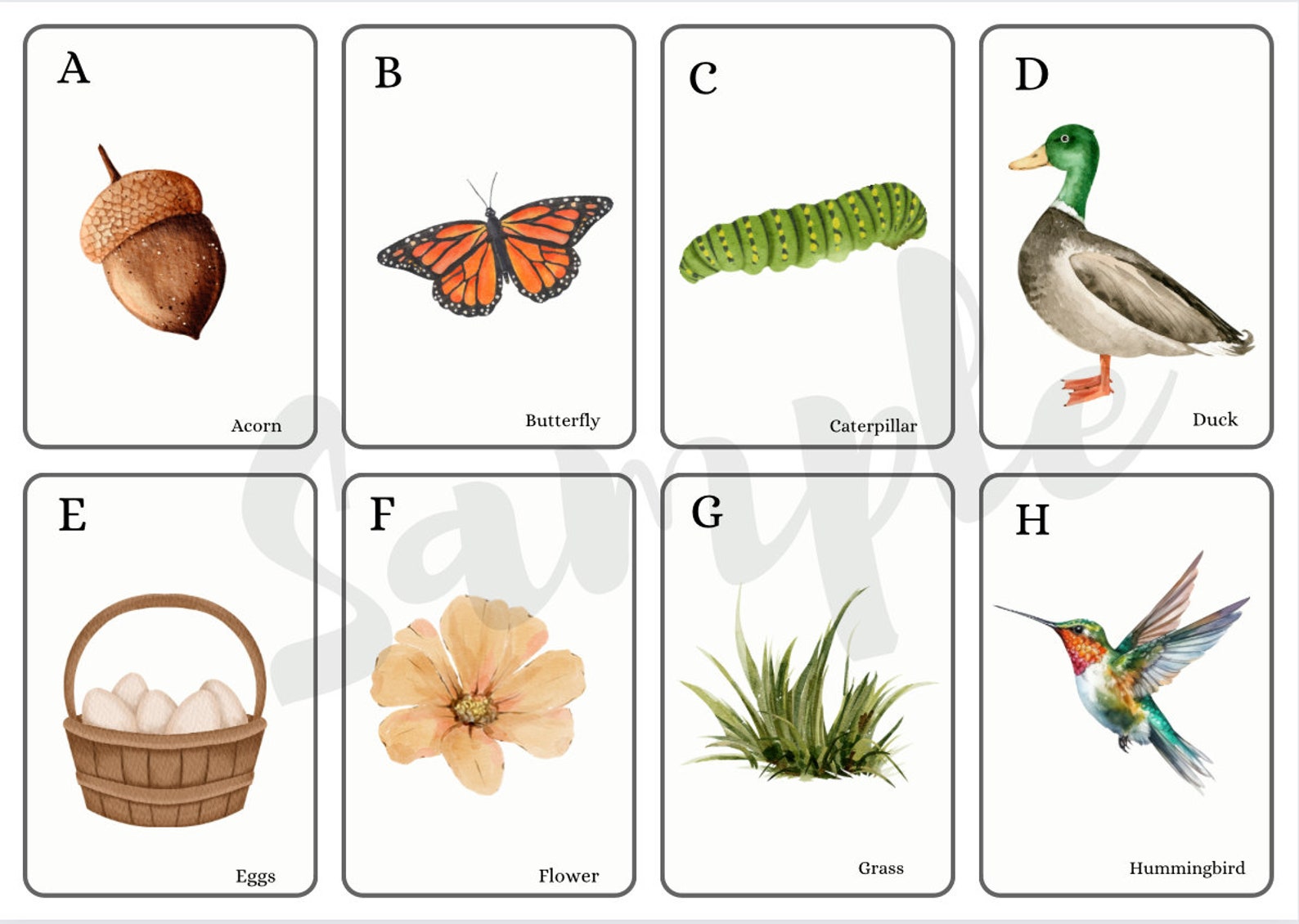 26 Nature Inspired Upper and Lowercase Alphabet Flash Cards Instant ...