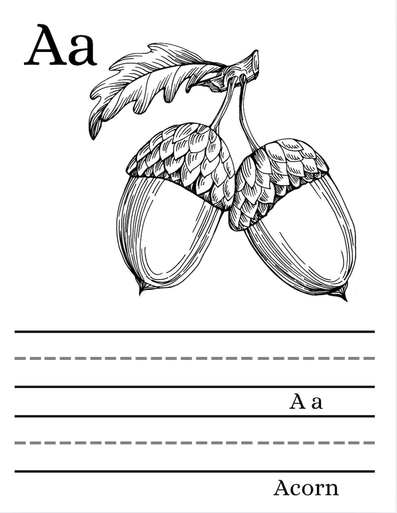 Nature Inspired Cursive & Print Practice Workbook: Homeschool Printable ...