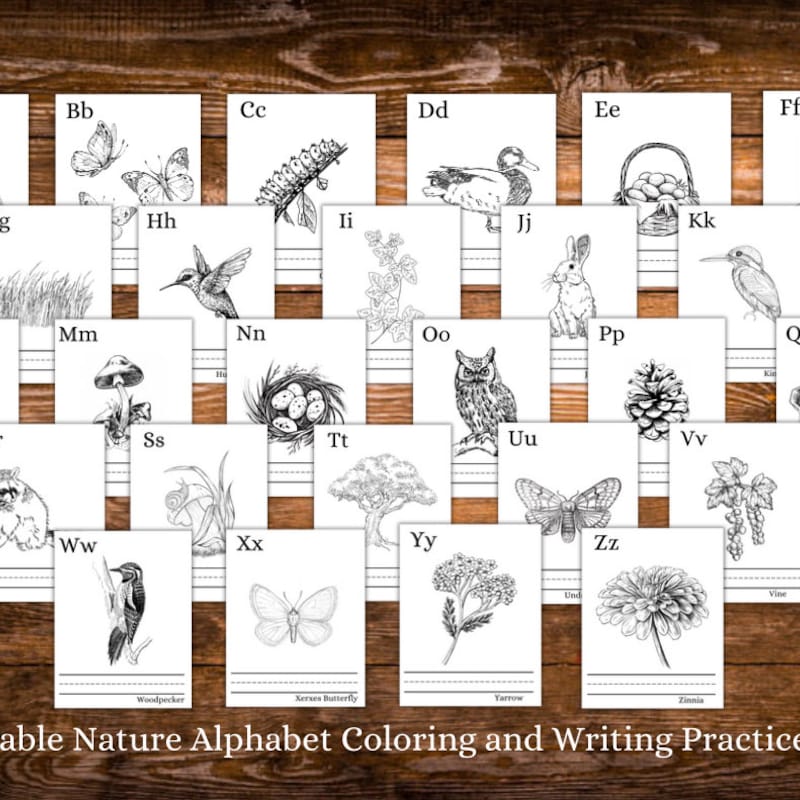 Charlotte Mason - Etsy