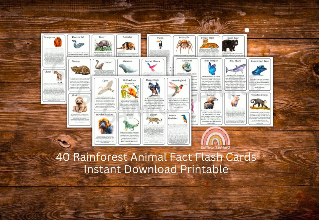 40 Rainforest Animal Fact Flash Cards Instant Download, Homeschool ...