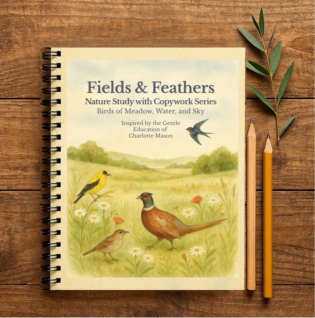 Bird Nature Study Workbook: Charlotte Mason Inspired Homeschool (69 ...