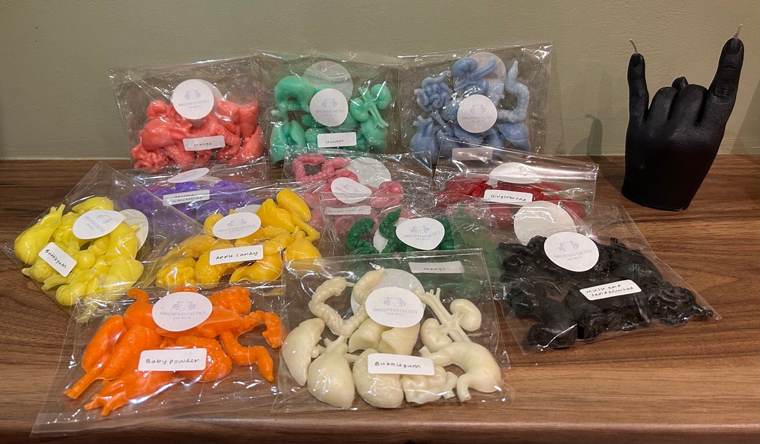 Pre-made Body Bag Wax Melts / Organ Shaped Wax Melts / Body - Etsy