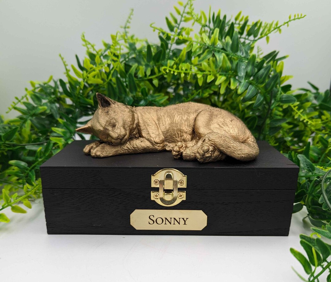 Luxury Cat Ashes Box Cat Ashes Urn Dog Ashes Urn Pet Urn Custom Name ...