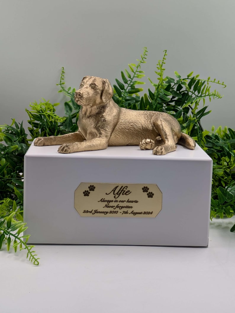 Handmade Labrador Dog Ashes Urn | Pet Memorial Box With Custom Name ...