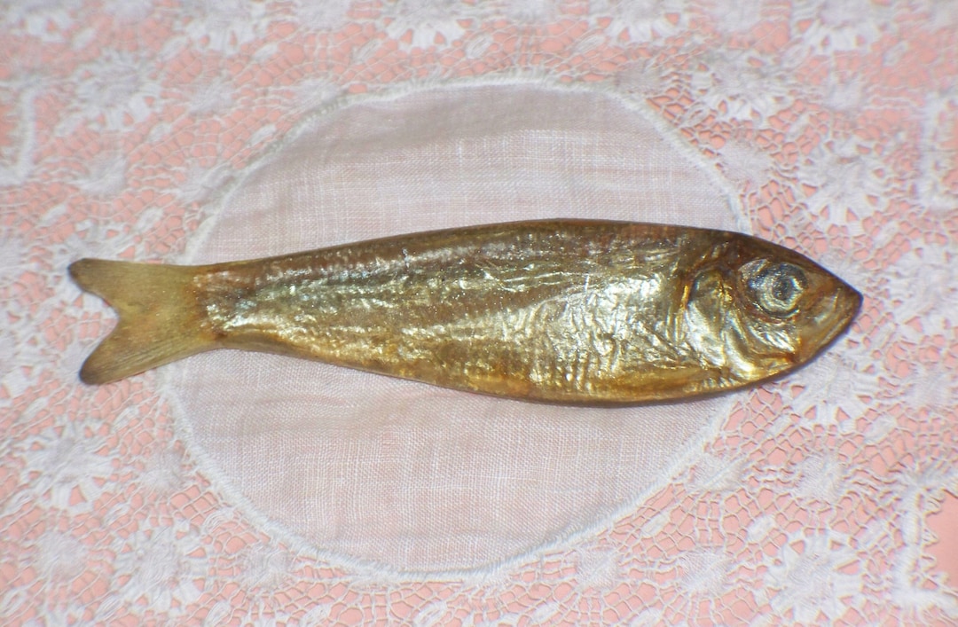 Vintage Ken K. Loeber Real Minnow Fish Brooch in Acrylic 1981 Resin ...