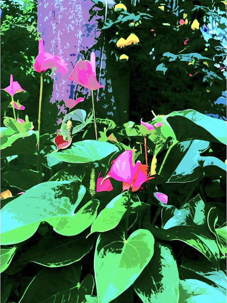 Anthuriums, Floral Wall Art Gifts, Floral Artwork, Botanical Wall Art ...