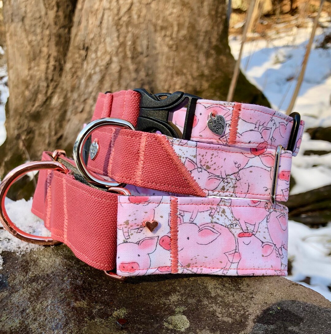 Pink Pigs Dog Collar - Etsy
