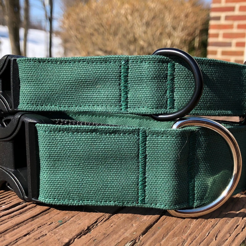 Green Dog Collar - Etsy