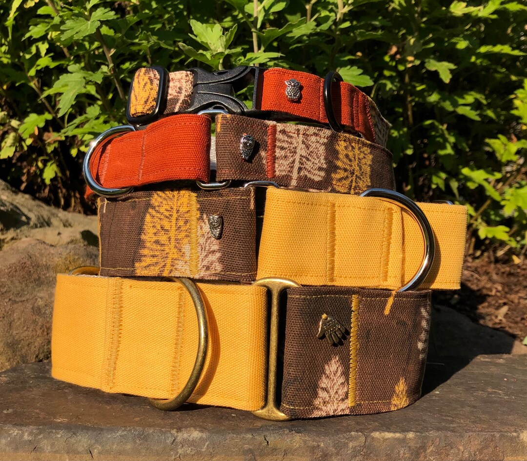Fall Pine Trees Dog Collar - Etsy