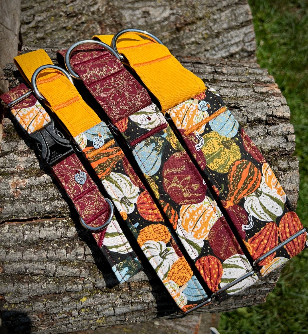 Colorful Pumpkins and Gourds Dog Collar or Leash - Etsy