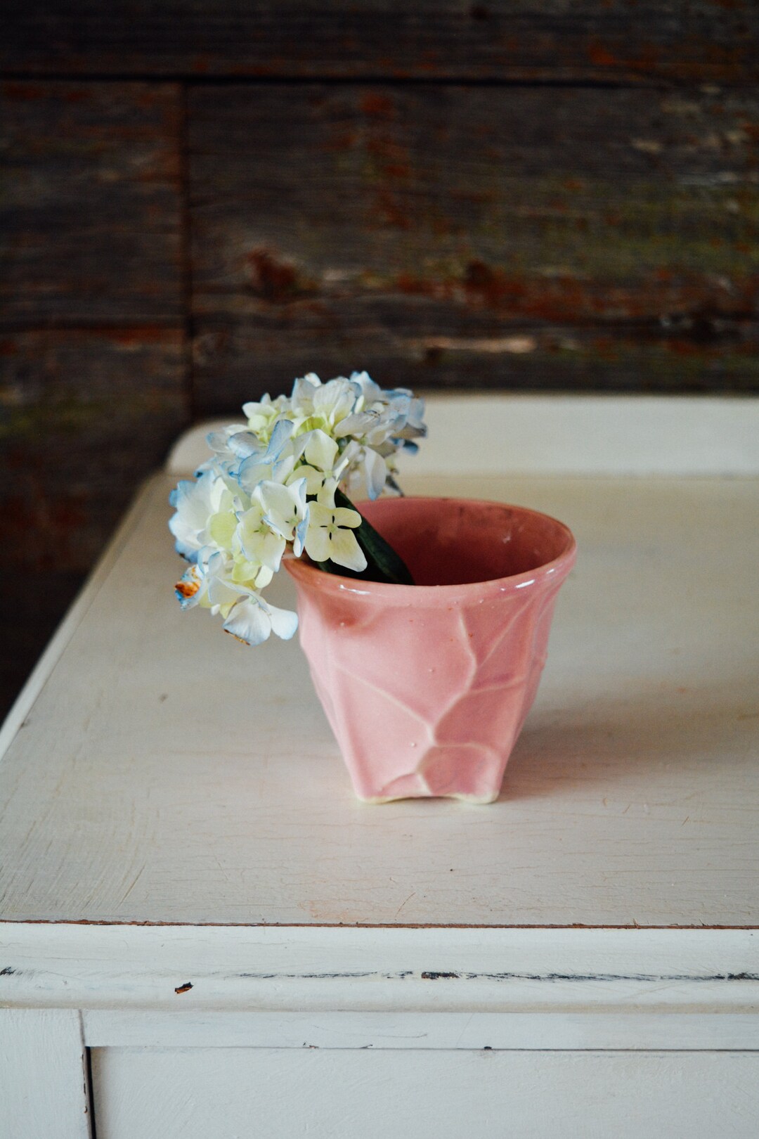 Beautiful Pink Mccoy Cabbage Leaf Pottery, Succulent Planter, Vintage ...