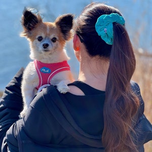 Lush Velvet Scrunchie Turquoise | Handmade Hair Scrunchie, Teal Blue ...