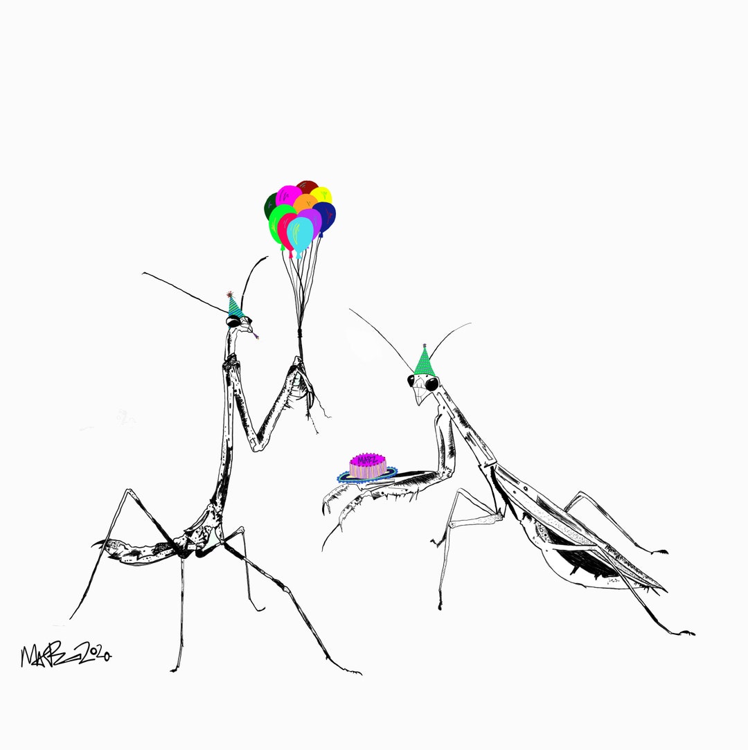 Praying Mantis Party - Etsy